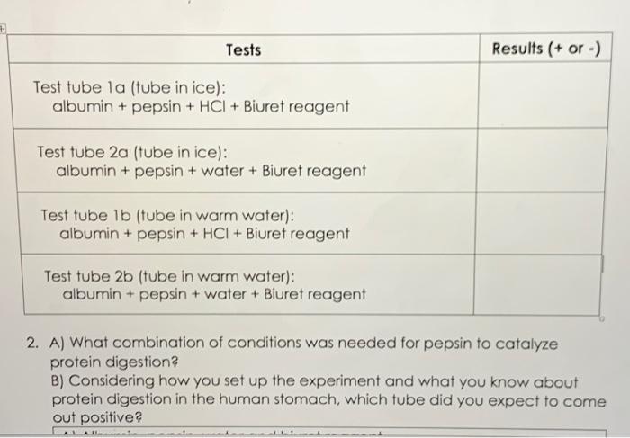 Solved Tests Results (+ or -) Test tube la (tube in ice): | Chegg.com
