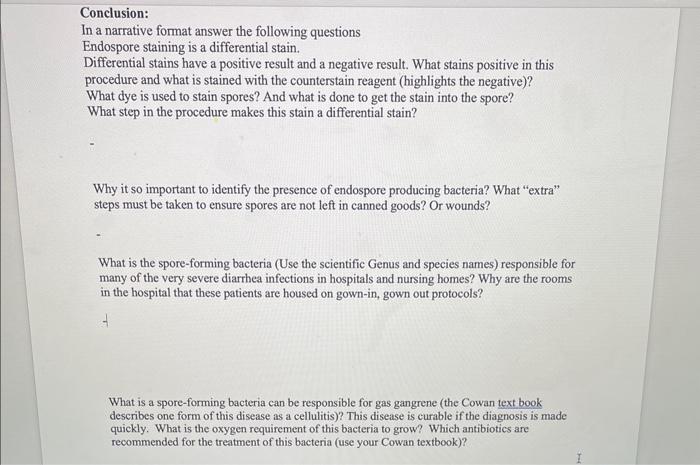 Solved Conclusion: In a narrative format answer the | Chegg.com