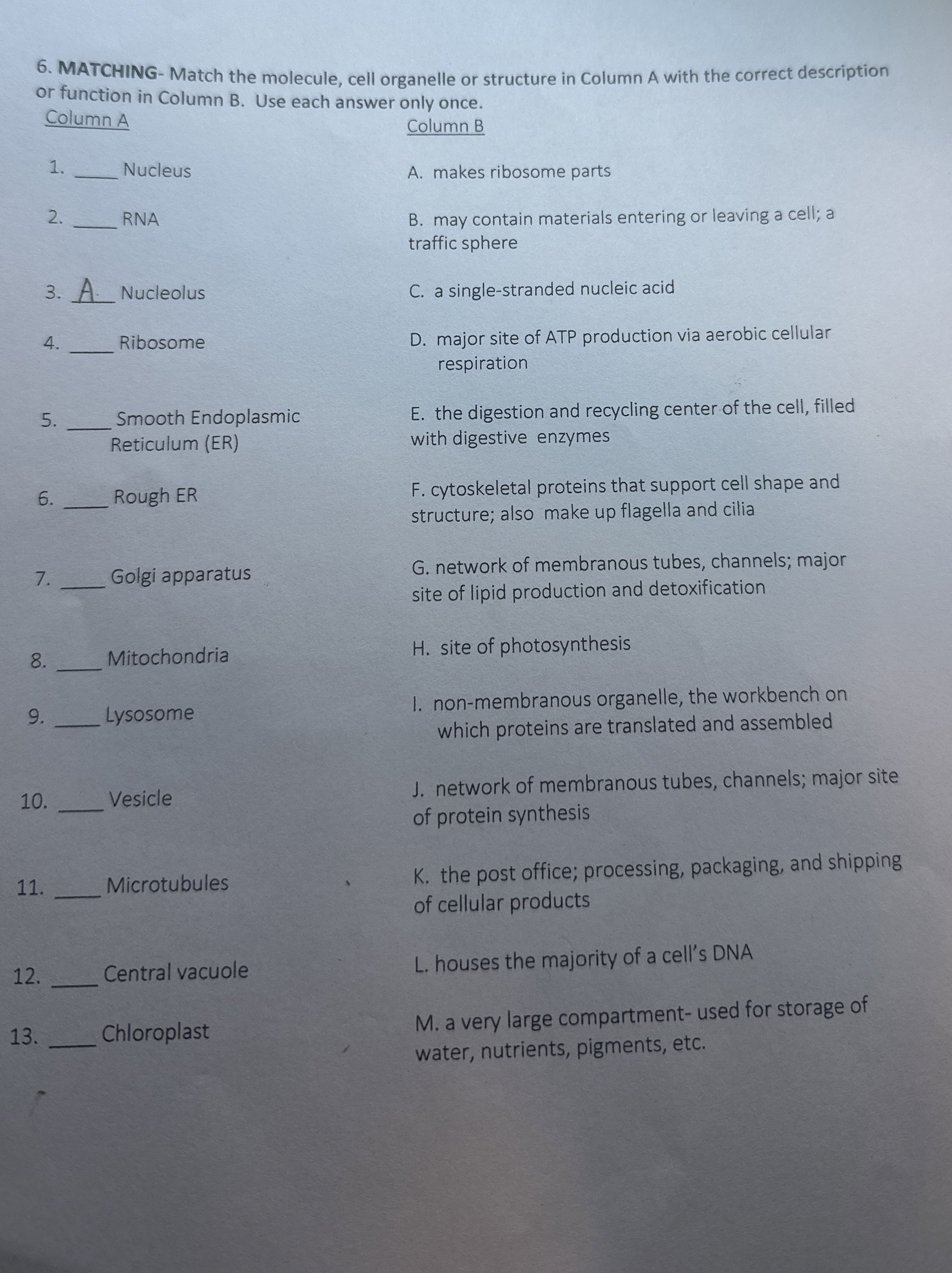 Solved MATCHING- ﻿Match the molecule, cell organelle or | Chegg.com