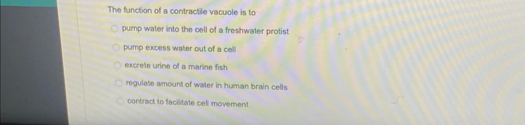 Solved The function of a contractile vacuole is topump water | Chegg.com