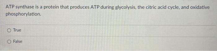 Solved ATP synthase is a protein that produces ATP during | Chegg.com