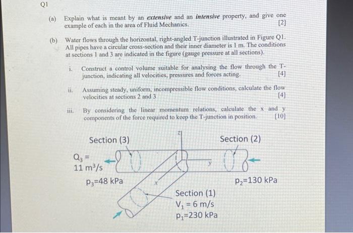 Solved (a) Explain what is meant by an extensive and an | Chegg.com