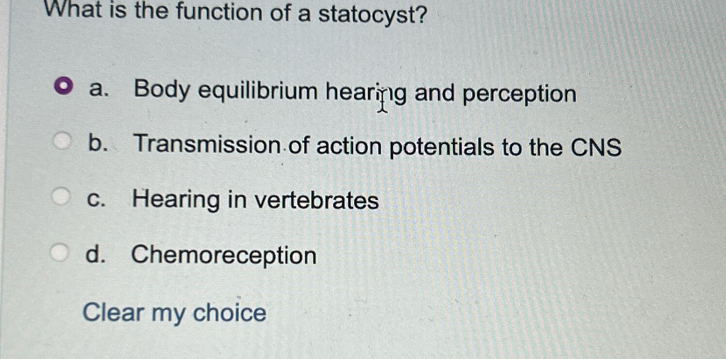 Solved What is the function of a statocyst?a. ﻿Body | Chegg.com