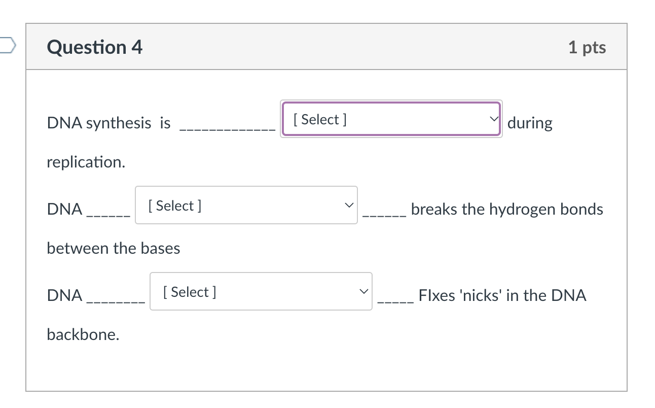 Solved Question 4DNA synthesis is duringreplication.DNA | Chegg.com