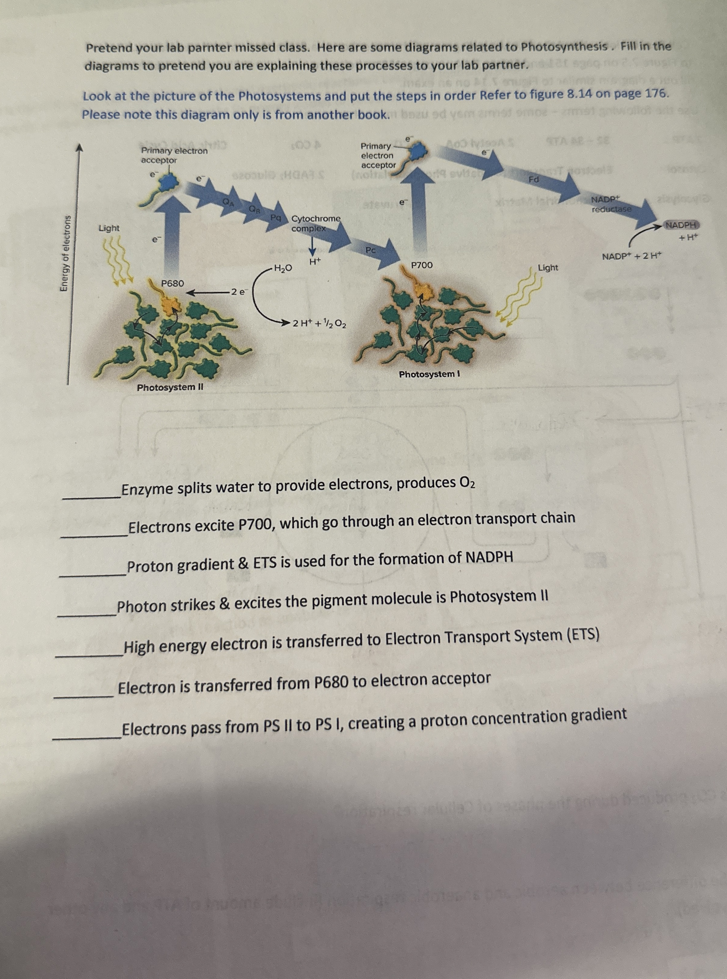 Solved Pretend your lab parnter missed class. Here are some | Chegg.com