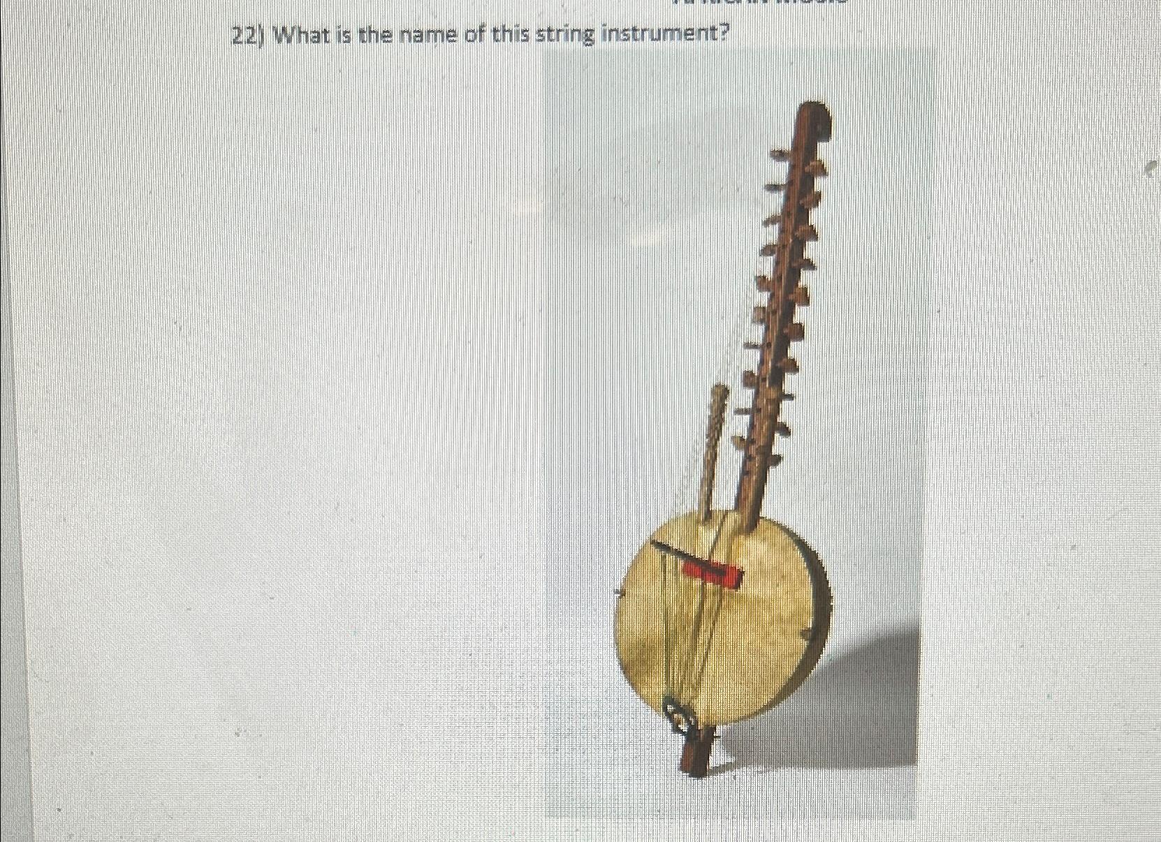 Solved What is the name of this string instrument? | Chegg.com