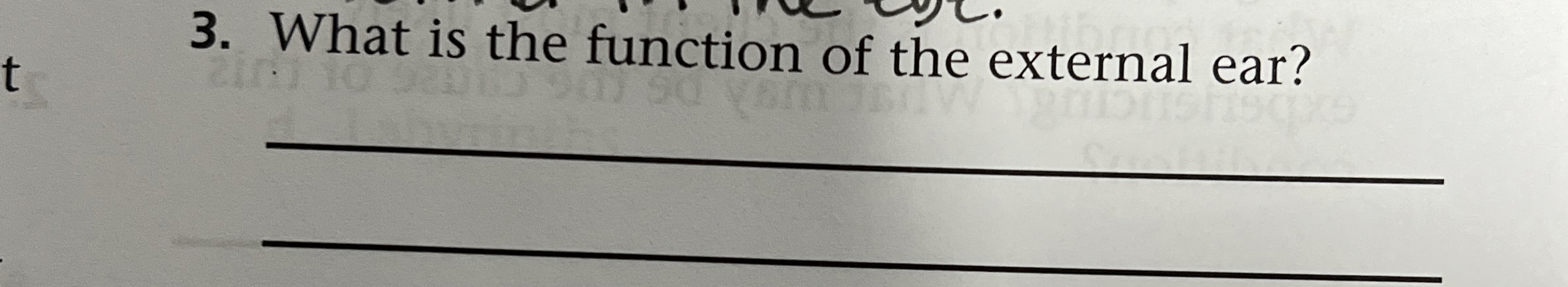 Solved What is the function of the external ear? | Chegg.com