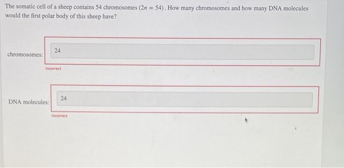 Solved The somatic cell of a sheep contains 54 chromosomes | Chegg.com