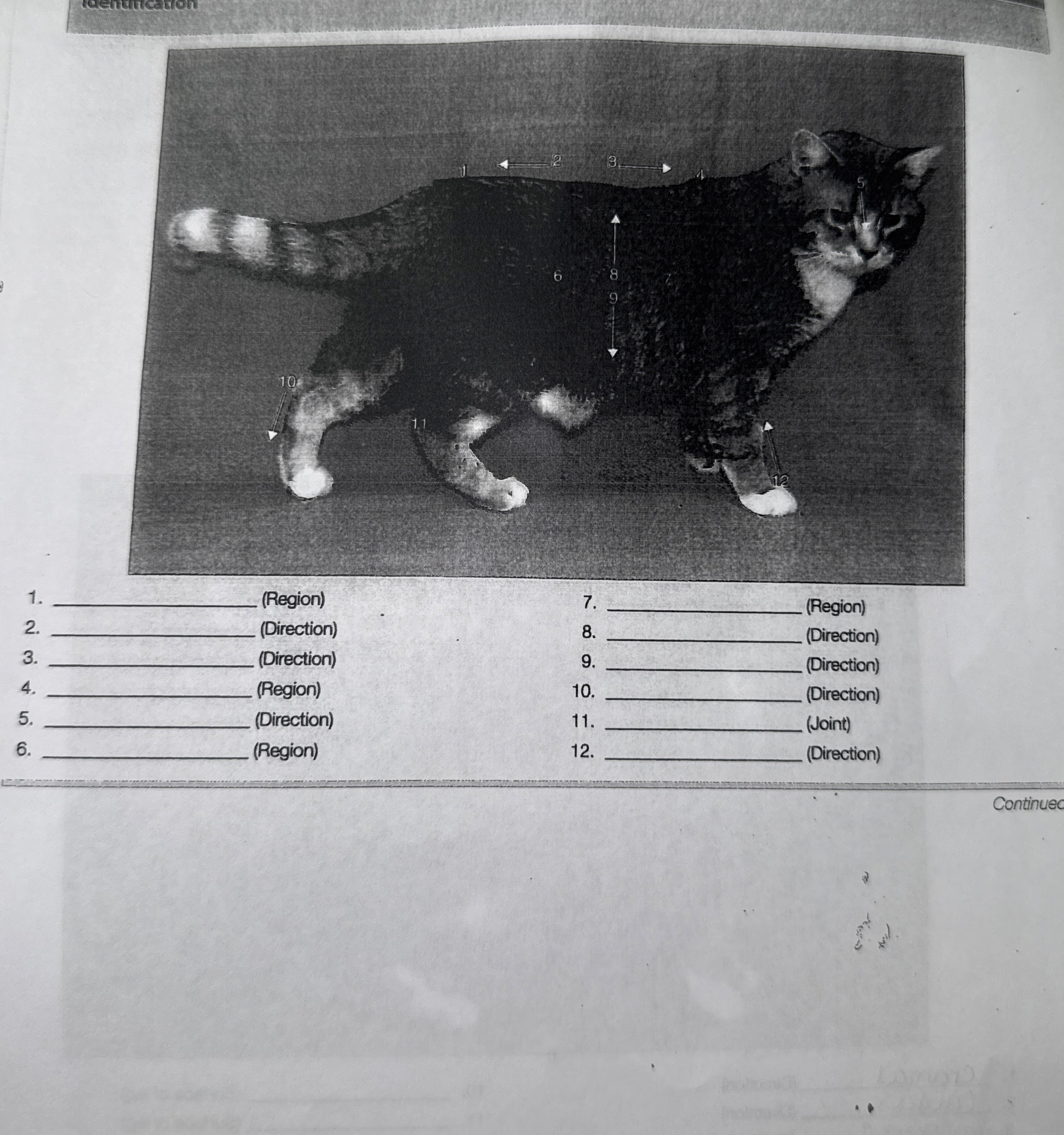 Solved renumatron (Region)(Direction)(Direction)(Region | Chegg.com