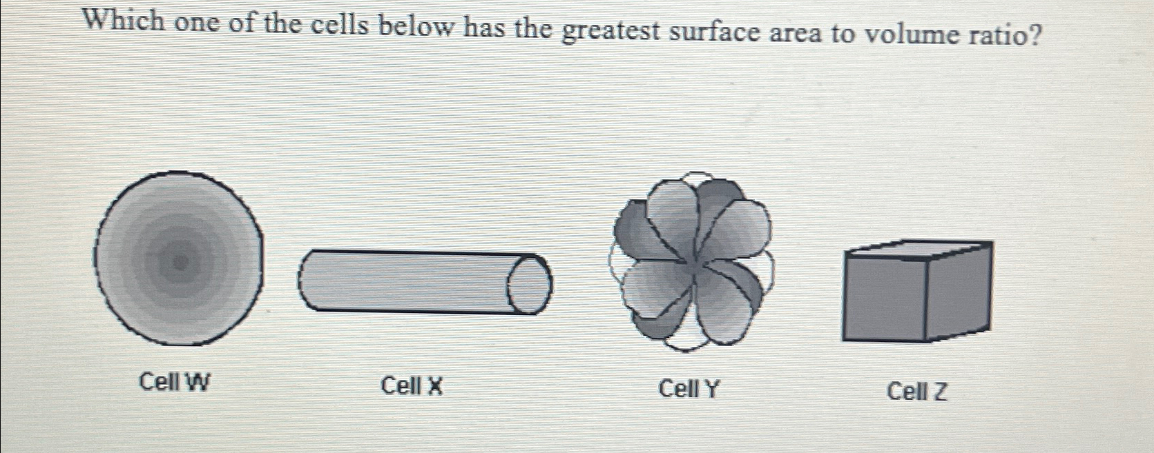 Solved Which one of the cells below has the greatest surface | Chegg.com