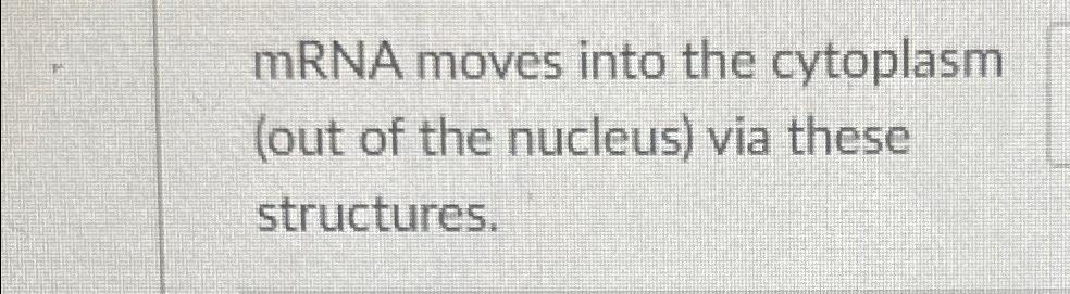 Solved mRNA moves into the cytoplasm (out of the nucleus) | Chegg.com
