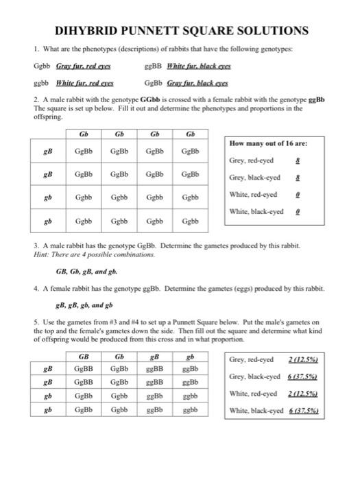 DIHYBRID PUNNETT SQUARE PRACTICE Directions: In | Chegg.com