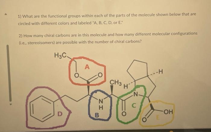 Solved 1) What are the functional groups within each of the | Chegg.com