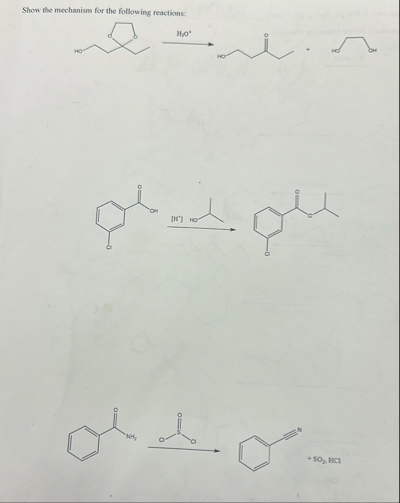 Solved Show the mechanism for the following reactions: | Chegg.com