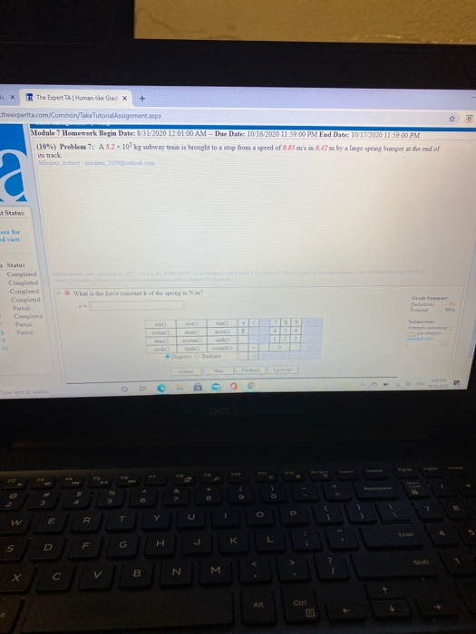 Solved X The Expert A Human Grad X + | Chegg.com