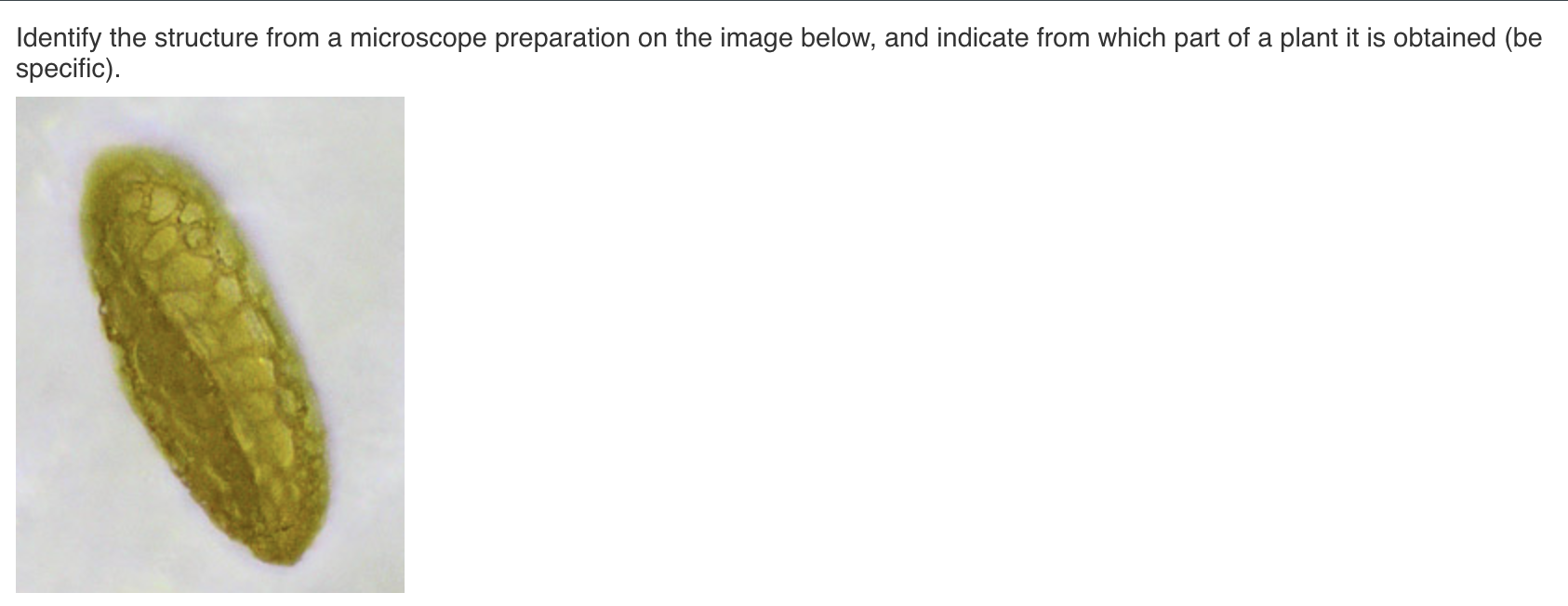 Solved Identify the structure from a microscope preparation | Chegg.com