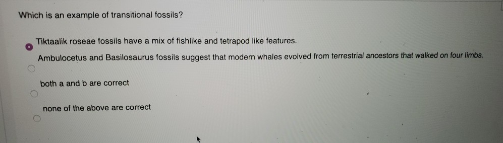 Solved Which is an example of transitional fossils? | Chegg.com