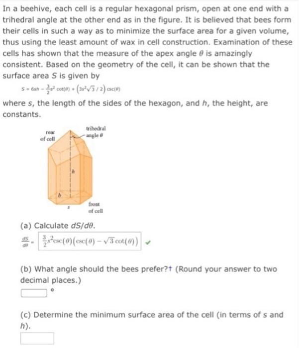 Solved In a beehive, each cell is a regular hexagonal prism, | Chegg.com