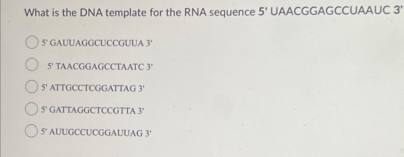 Solved What is the DNA template for the RNA sequence 5' | Chegg.com