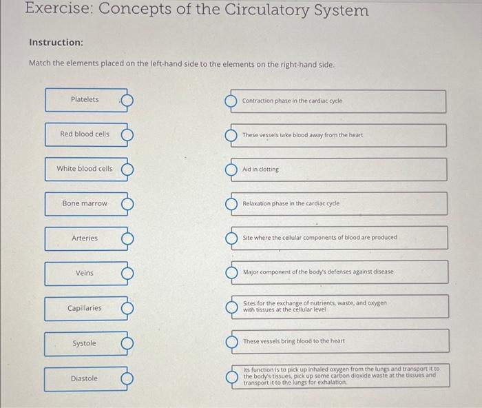 Exercise: Concepts of the Circulatory System | Chegg.com