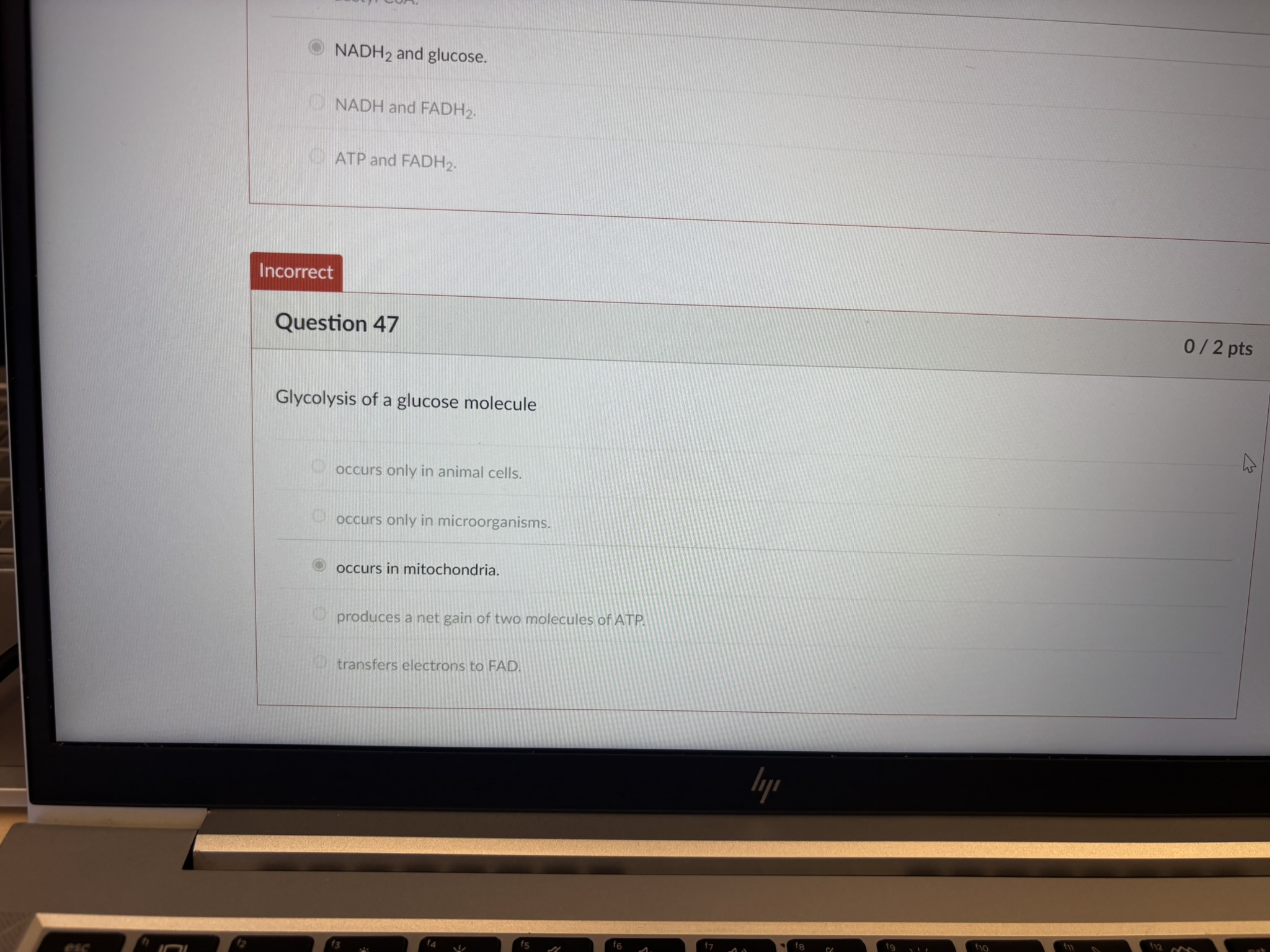 Solved \( \mathrm{NADH}_{2} \) ﻿and glucose. NADH and FADH | Chegg.com
