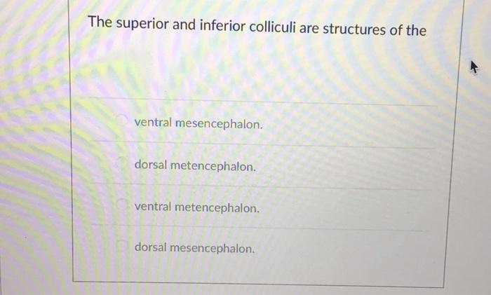 Solved The superior and inferior colliculi are structures of | Chegg.com