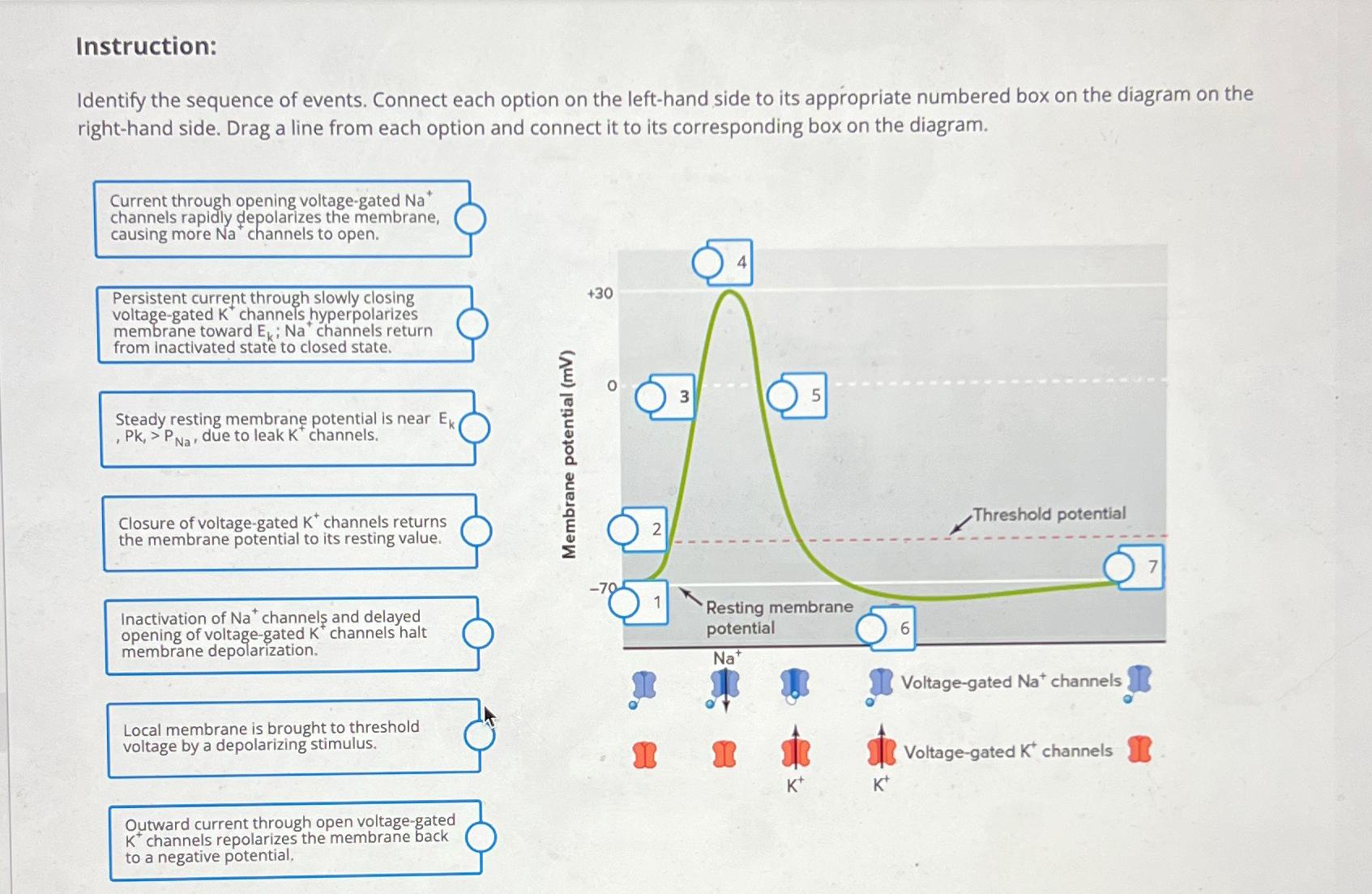 Solved Instruction:Identify the sequence of events. Connect | Chegg.com
