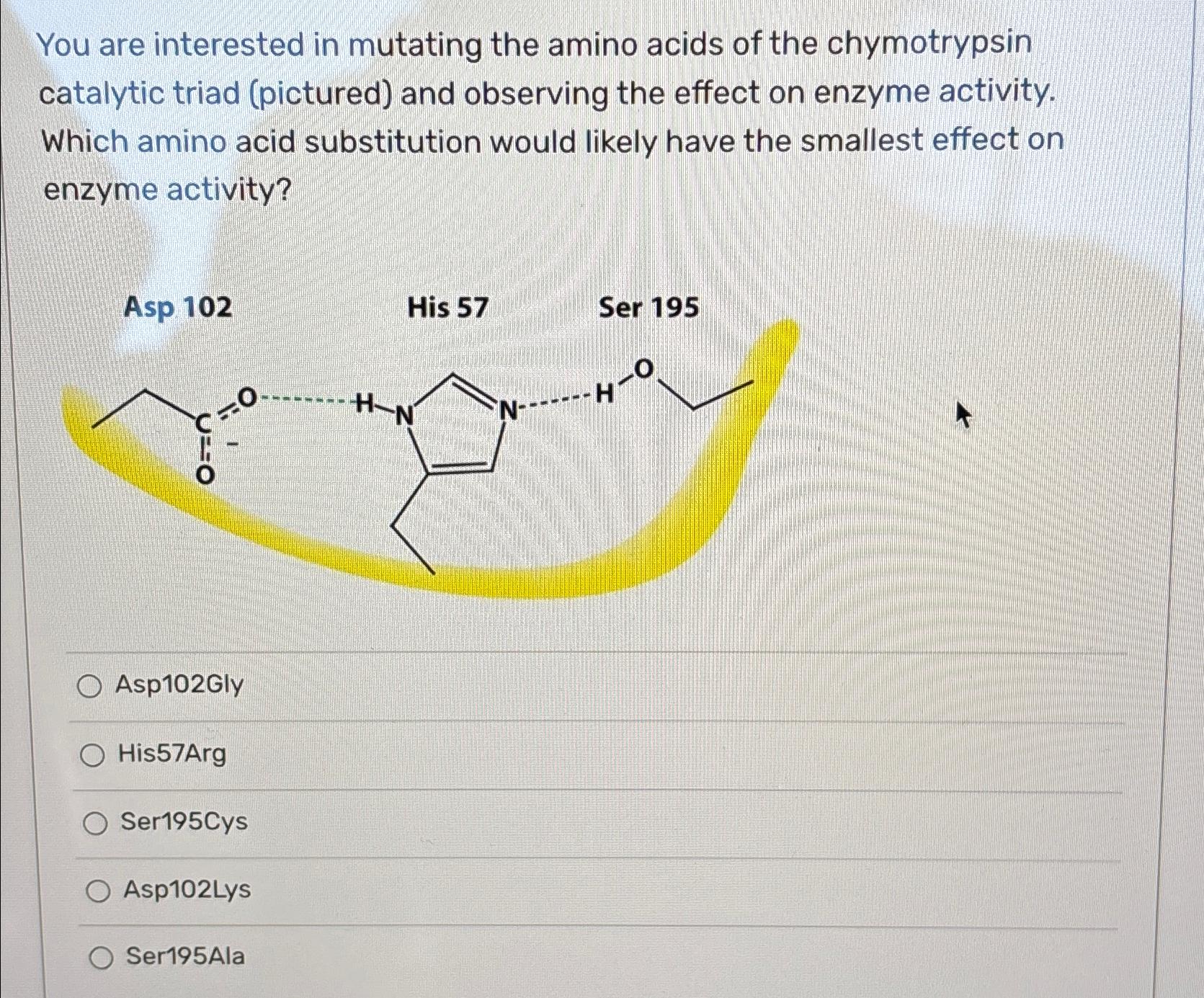 Solved You are interested in mutating the amino acids of the | Chegg.com