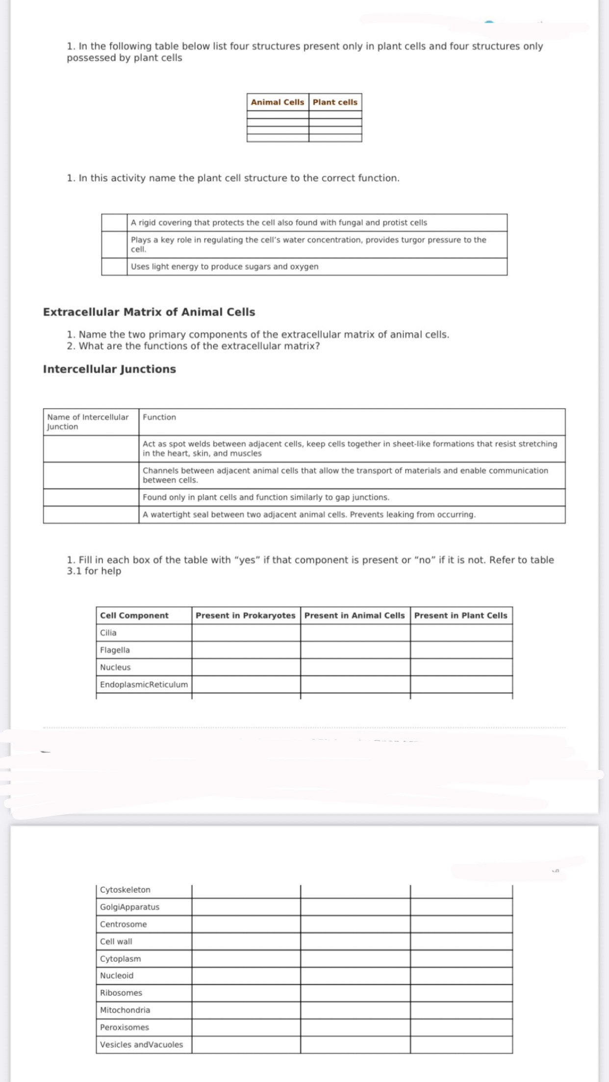 Solved In the following table below list four structures | Chegg.com