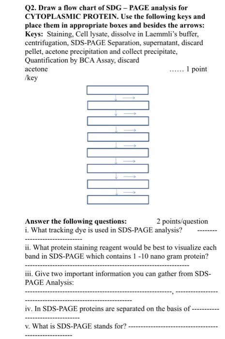 Q2. Draw a flow chart of SDG - PAGE analysis for | Chegg.com