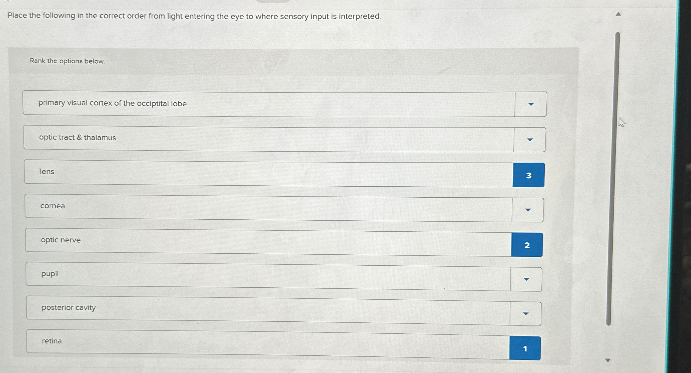 Solved Place the following in the correct order from light | Chegg.com