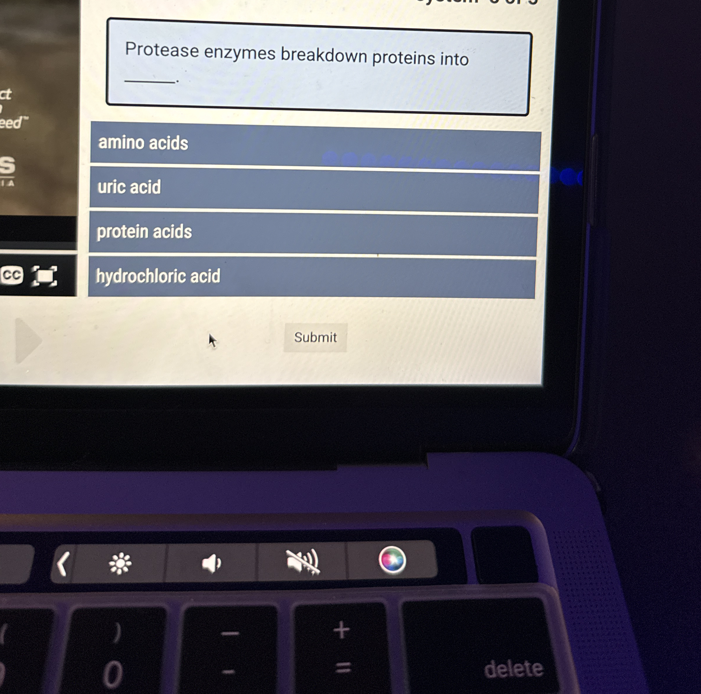 Solved Protease enzymes breakdown proteins intoq, .amino | Chegg.com