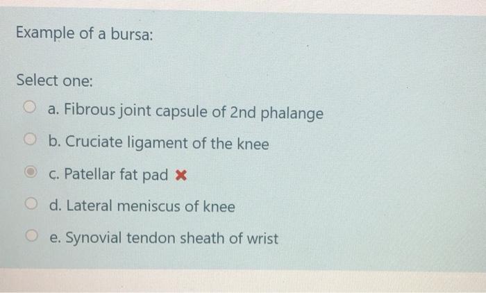 Solved Example of a bursa: Select one: O a. Fibrous joint | Chegg.com