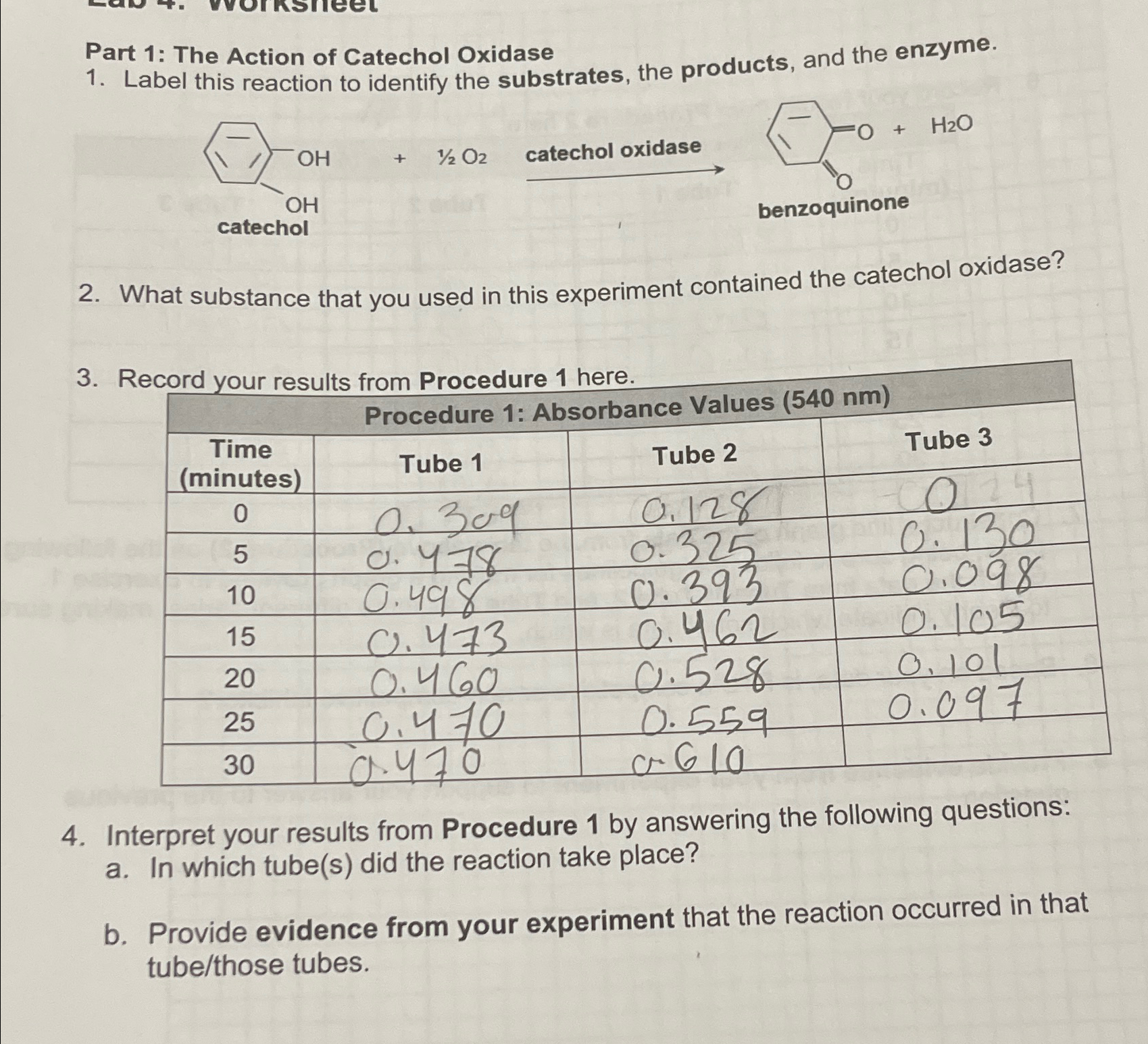 Solved Part 1: The Action of Catechol OxidaseLabel this | Chegg.com