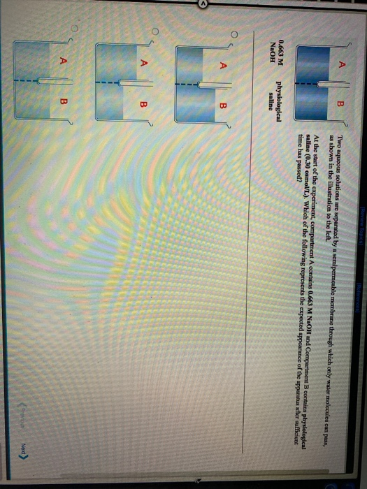 Solved A B Two aqueous solutions are separated by a | Chegg.com