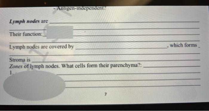 Solved subject biology / histology fill the white spaces | Chegg.com