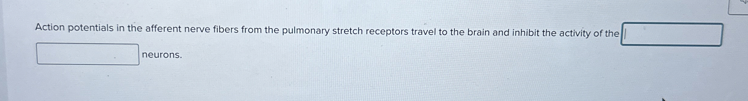 Solved Action potentials in the afferent nerve fibers from | Chegg.com