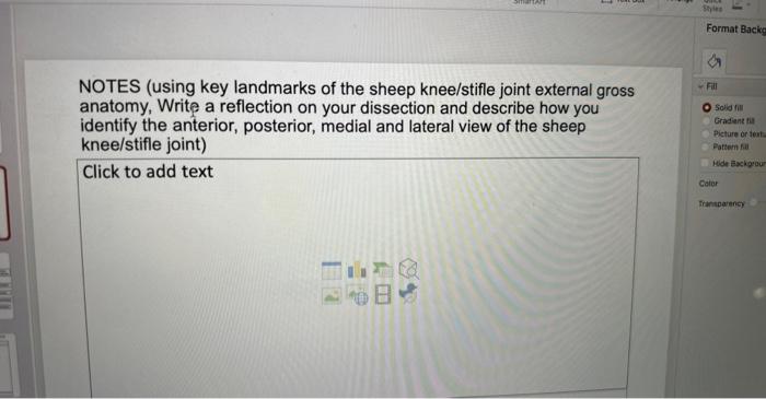 Solved NOTES (using key landmarks of the sheep knee/stifle | Chegg.com