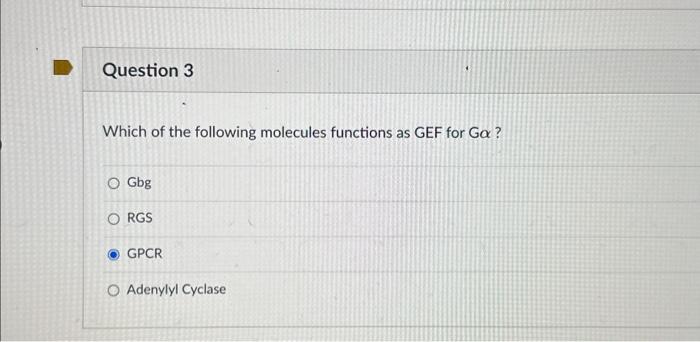 Solved Which of the following molecules functions as GEF for | Chegg.com