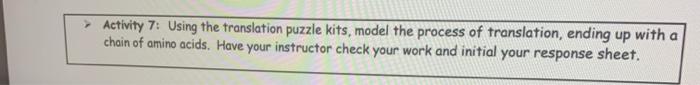 Solved Activity 7: Using the translation puzzle kits, model | Chegg.com