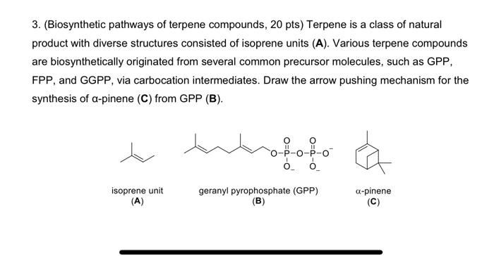 Solved 3. (Biosynthetic pathways of terpene compounds, 20 | Chegg.com