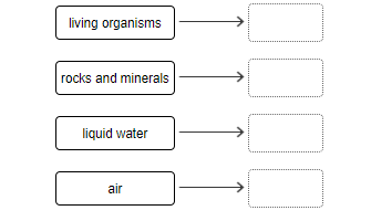 Solved Match each example with the subsystem it belongs | Chegg.com