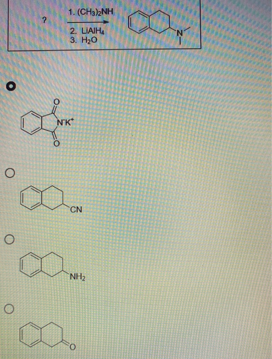 Solved 1. (CH3)2NH 2. LIAIH4 3. H2O N O of NK CN NH2 O | Chegg.com