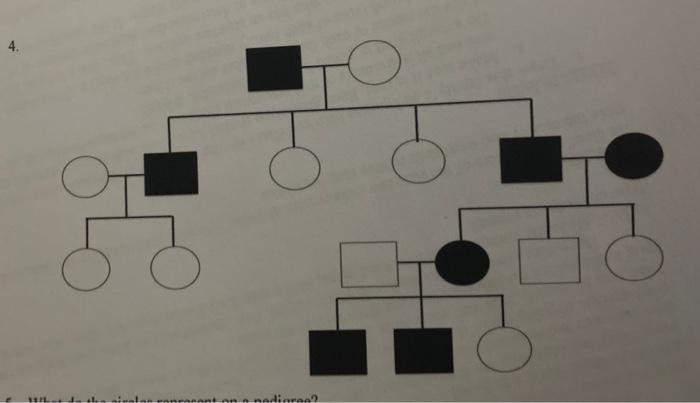 Solved Practice: Pedigrees Determine the inheritance pattern | Chegg.com Solved Practice: Pedigrees Determine the inheritance pattern | Chegg.com