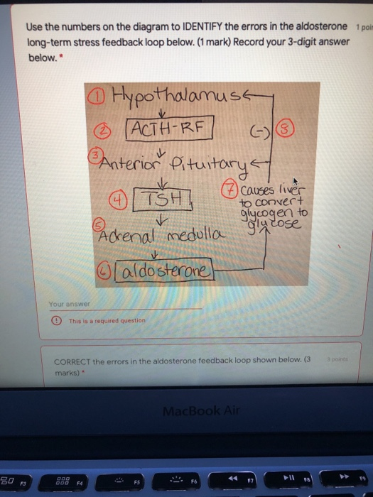 Solved answer to this ? the second pic is used for question | Chegg.com