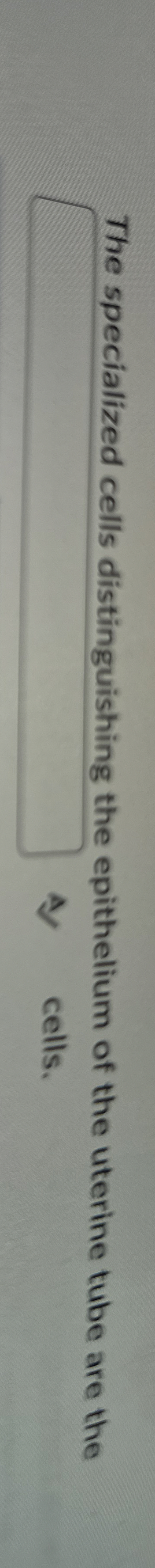 Solved The specialized cells distinguishing the epithelium | Chegg.com