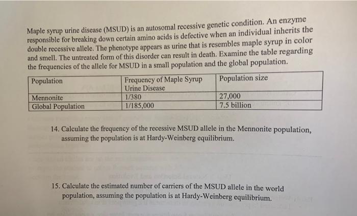 Maple syrup urine disease (MSUD) is an autosomal | Chegg.com