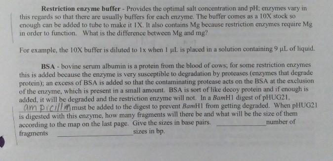 Restriction enzyme buffer - Provides the optimal salt | Chegg.com
