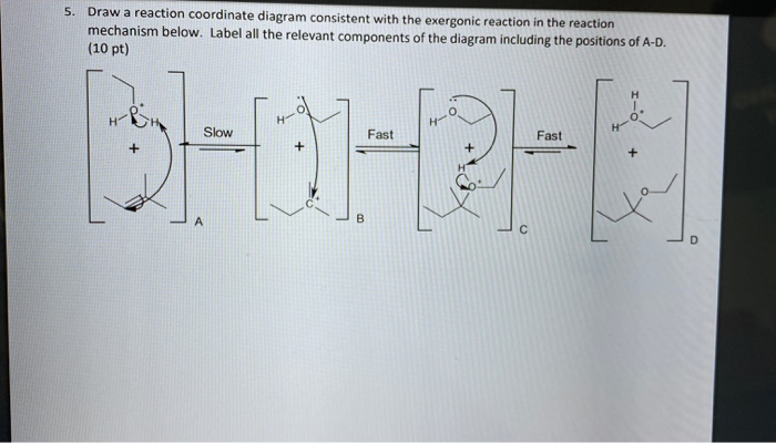 Solved 5. Draw a reaction coordinate diagram consistent with | Chegg.com