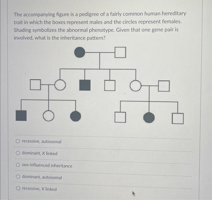 Solved The accompanying figure is a pedigree of a fairly | Chegg.com